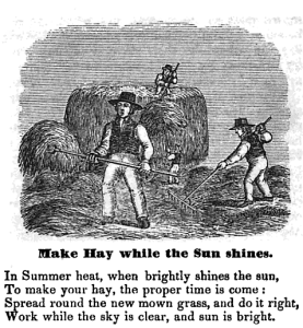 meaning and origin of the phrase ‘make hay’ – word histories
