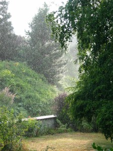 ‘petrichor’: the sweet smell produced when rain falls on parched earth ...