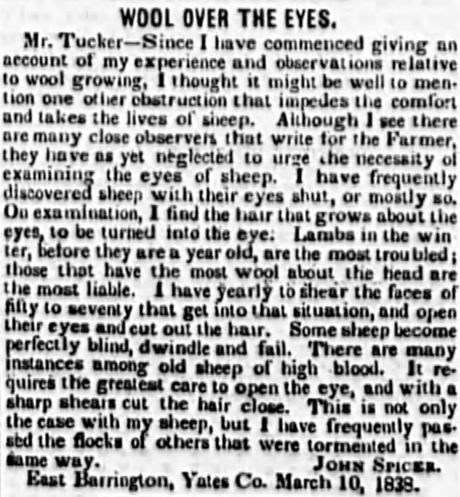 the origin of ‘to pull the wool over someone’s eyes’? – word histories