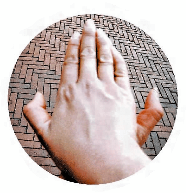 meaning of the phrase ‘awkward turtle’ – word histories