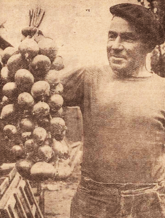 ‘Onion Johnny’: meaning and cultural background – word histories