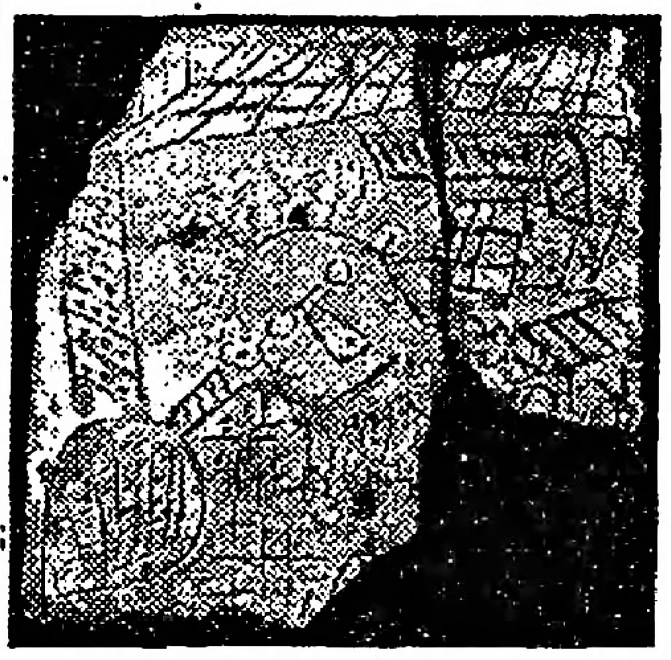 ‘lager lout’: meaning and origin – word histories