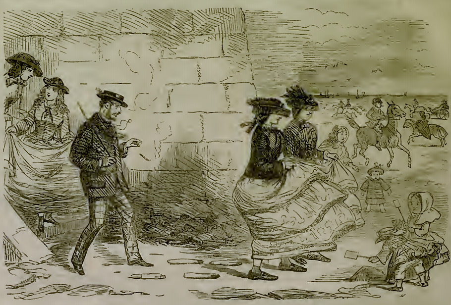 ‘beetle-crusher’: meaning and origin – word histories