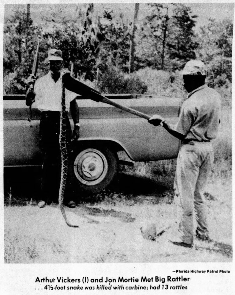 ‘humongous’: meaning and origin – word histories