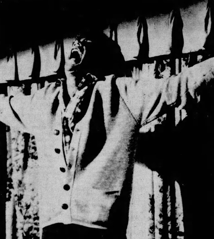 ‘to throw a wobbly’: meaning and origin – word histories