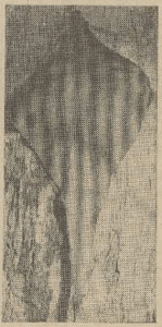 ‘drop bear’: meaning and origin – word histories