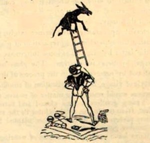 ‘two more and up goes the donkey’: meanings and origin – word histories